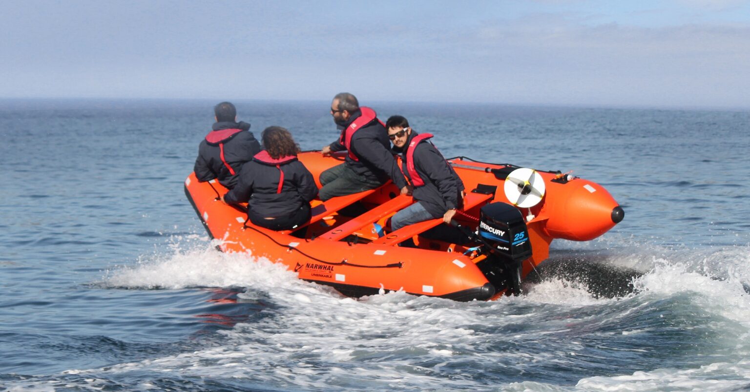 SV-420 rescue boat - De Wolf Maritime Safety